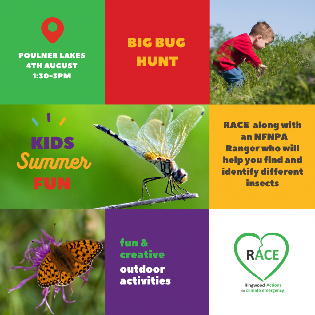 Poulner Lakes Big Bug Hunt | RACE