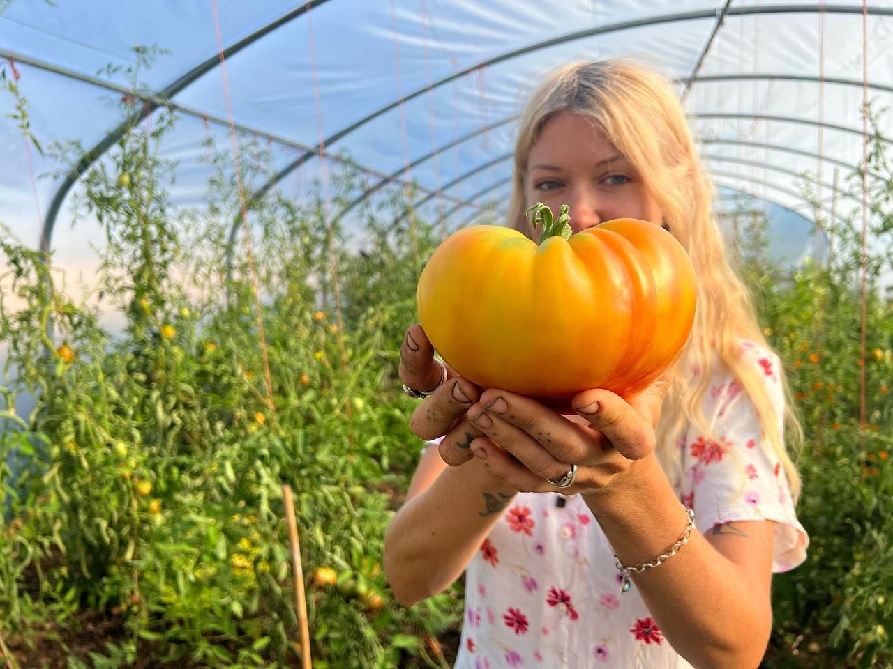 Learn About Community Supported Agriculture - Four Acre Farm Open ...